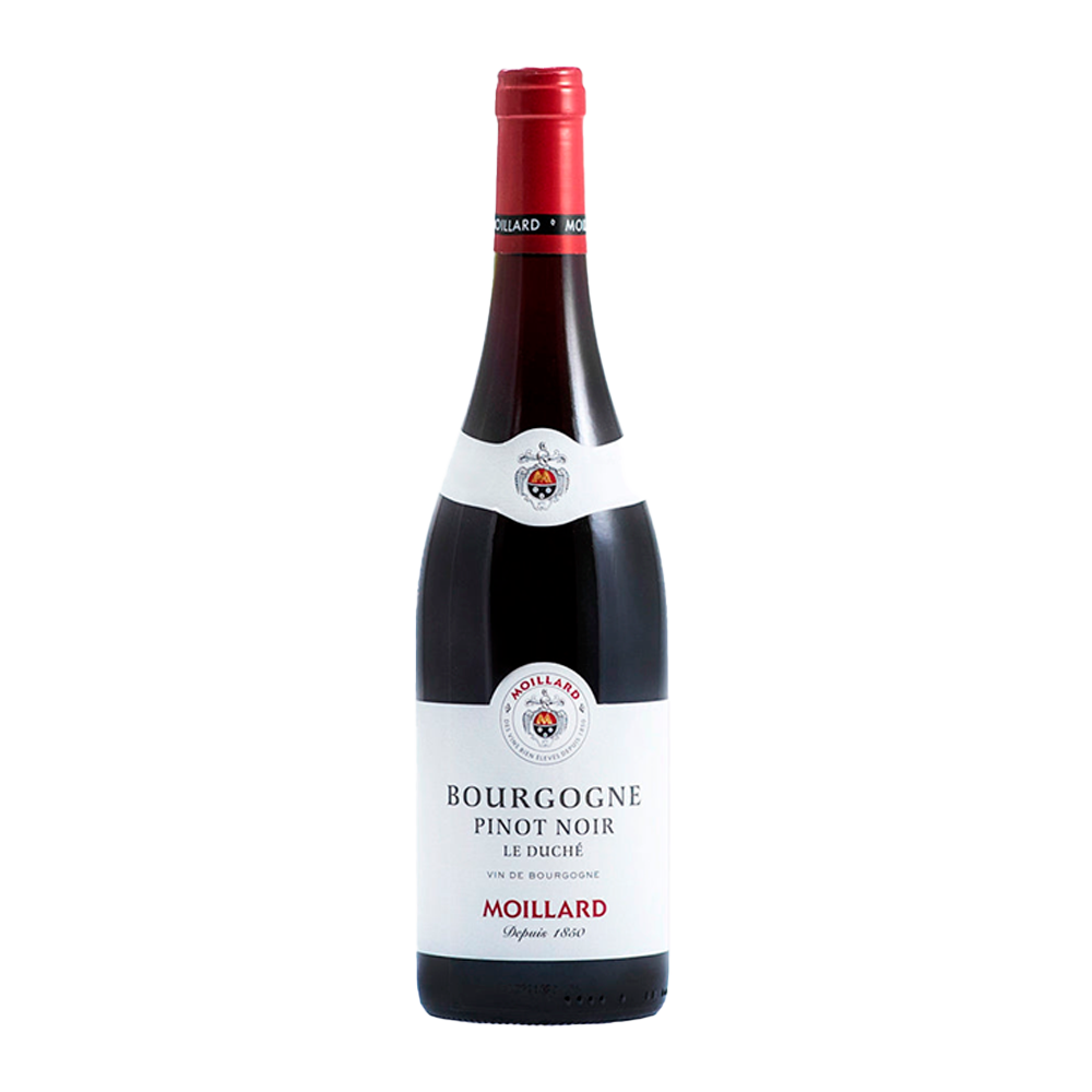 Moillard Bourgogne Pinot Noir Le Duché | Casa Flora